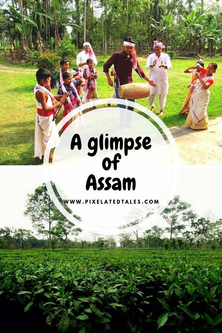 Tea Gardens, Rongali Bihu and More, Assam - India