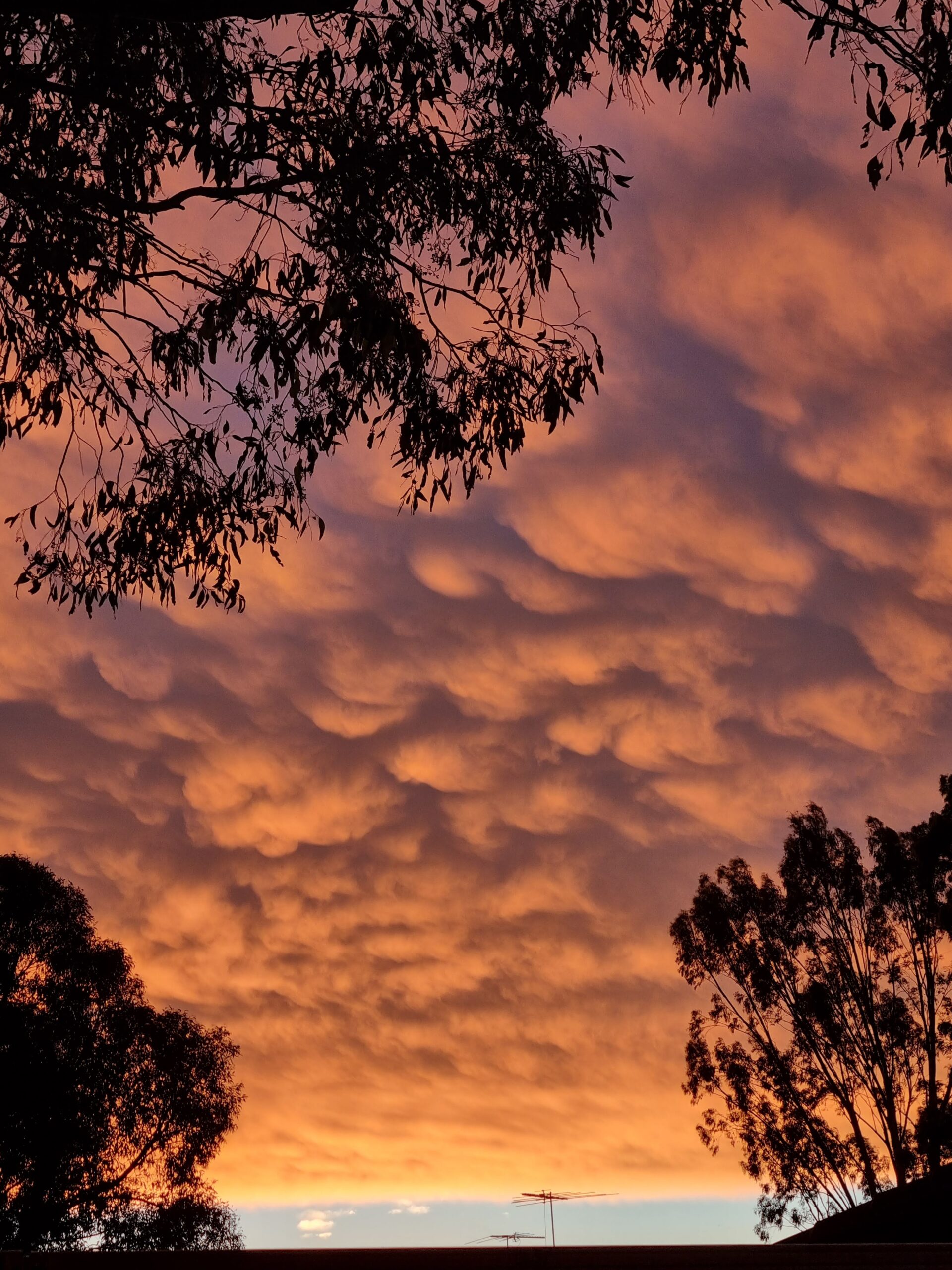 Mammatus Clouds at Sunset | Sydney Australia | Photography