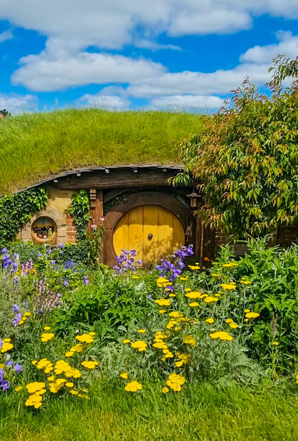 Hobbiton Movie Set: New Zealand Road Trip | Travel