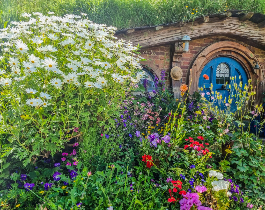 Hobbiton Movie Set: New Zealand Road Trip | Travel