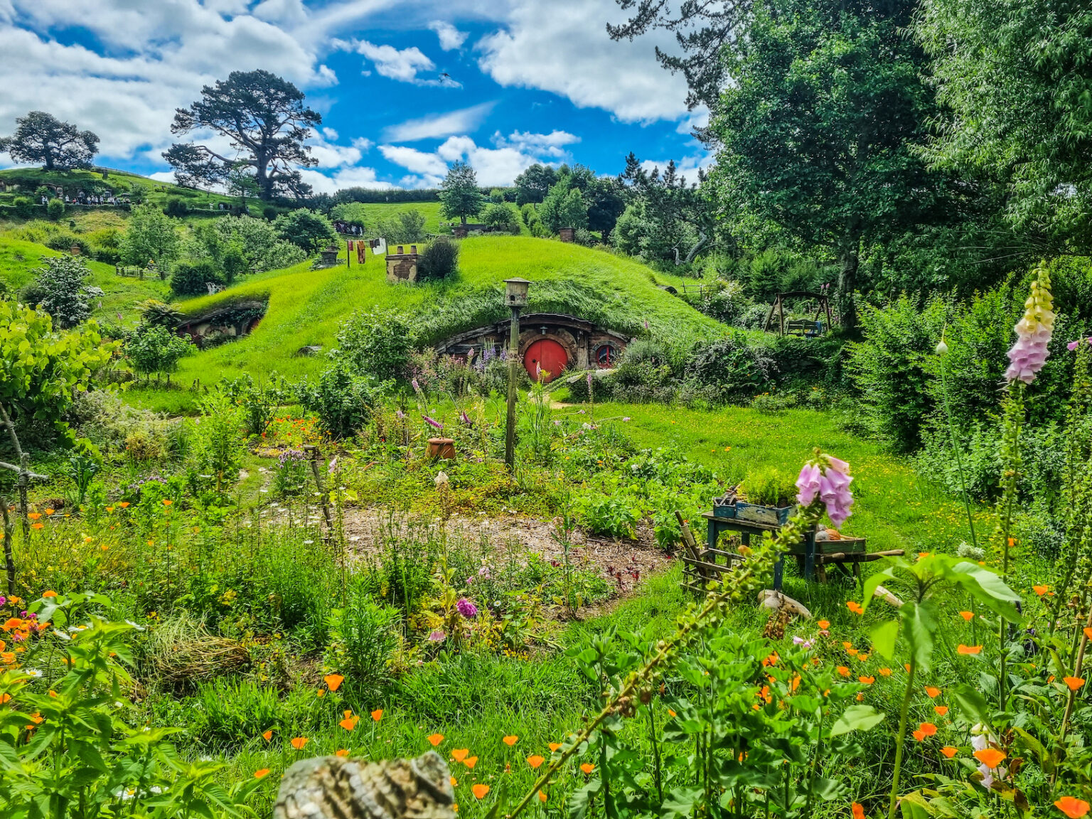 Hobbiton Movie Set: New Zealand Road Trip | Travel