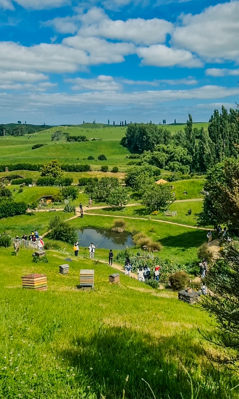 hobbiton movie set tour new zealand lord of the rings hills - Destiny's ...